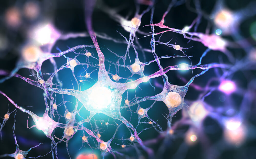 Tipi di sinapsi: la comunicazione neuronale - La Mente è Meravigliosa