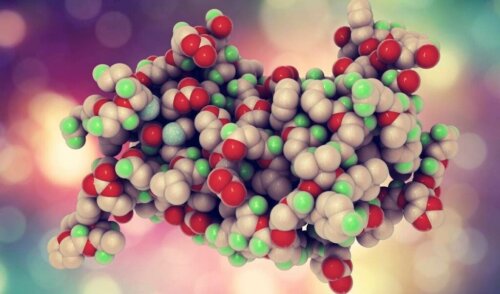 Ormone della crescita: quali sono le sue funzioni?